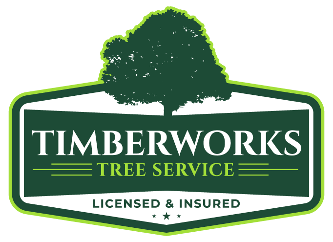 Blog | Tallahassee's Trusted Tree Service